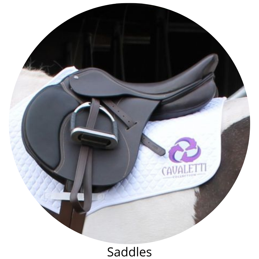 About Us | Cavaletti Collection